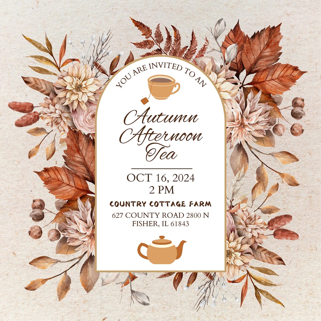 Autumn Afternoon Tea - Country Cottage Farm